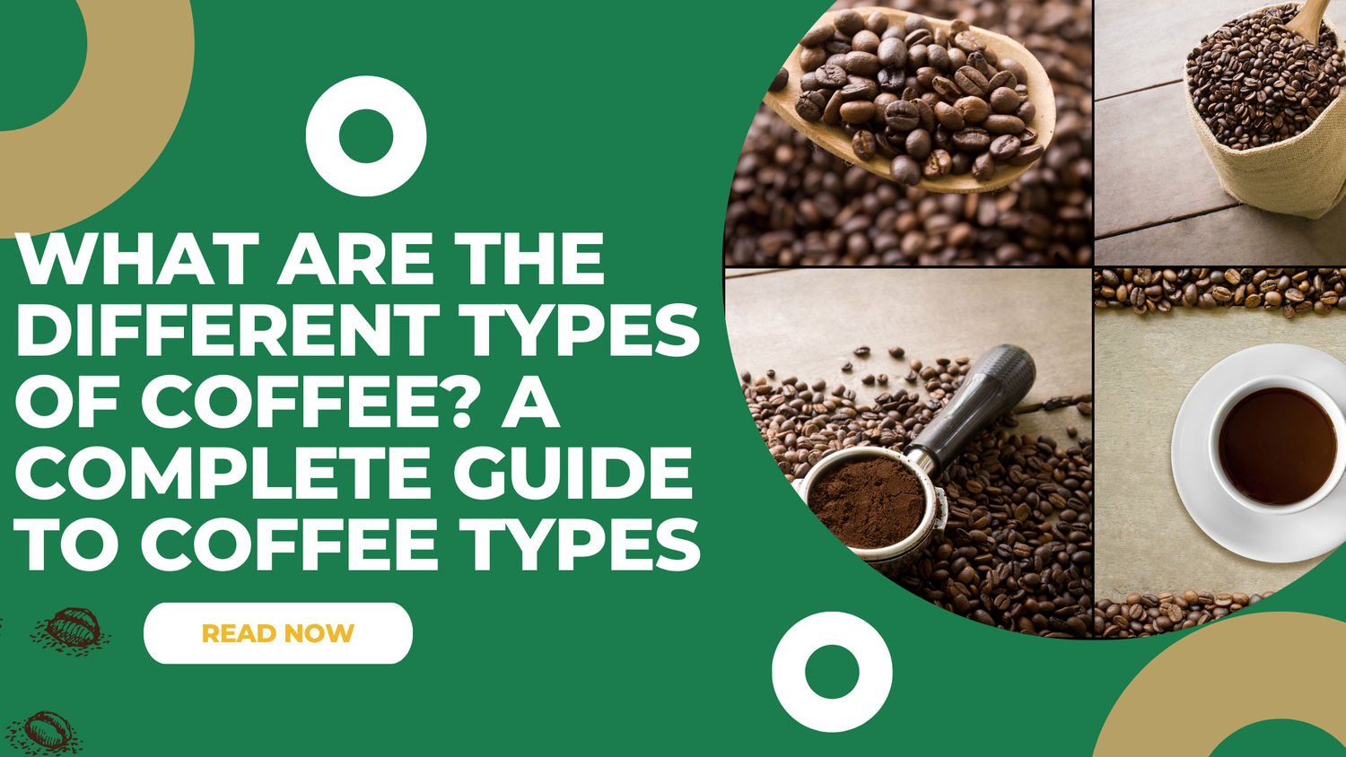 What Are the Different Types of Coffee? A Complete Guide.