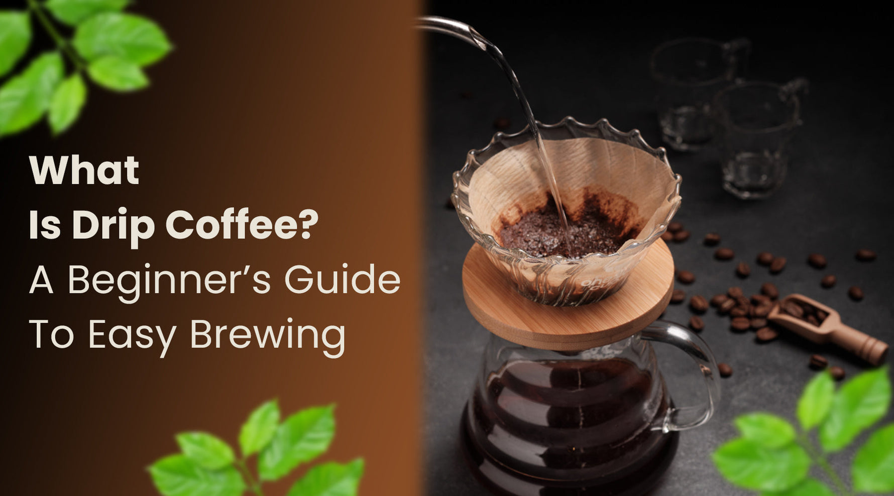 What Is Drip Coffee? A Beginner’s Guide to Easy Brewing