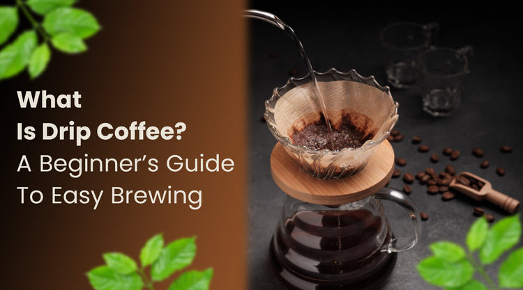 What Is Drip Coffee? A Beginner’s Guide to Easy Brewing – Brew the Blend